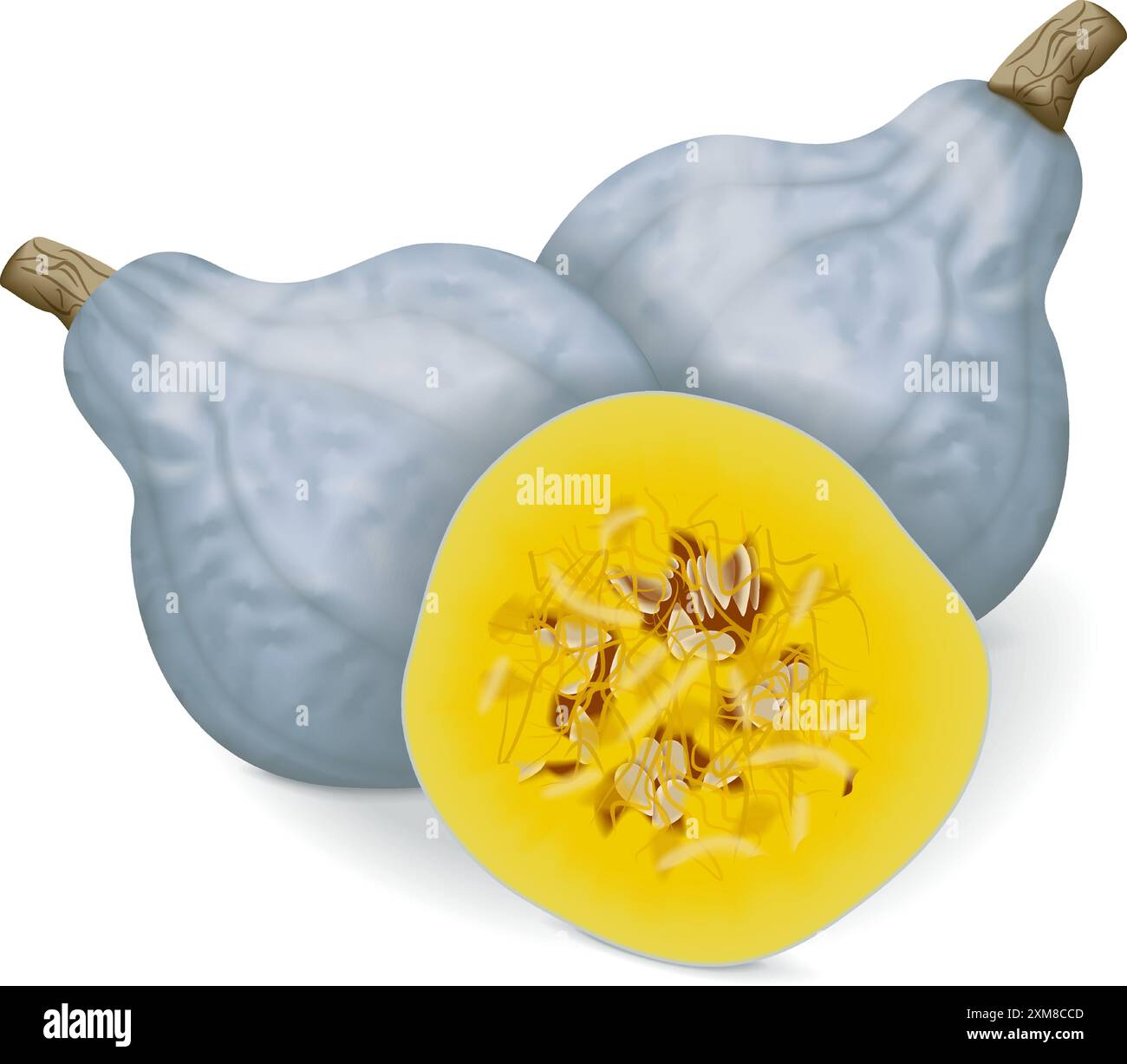 Whole and chopped Blue hubbard squash. Winter squash. Cucurbita maxima ...