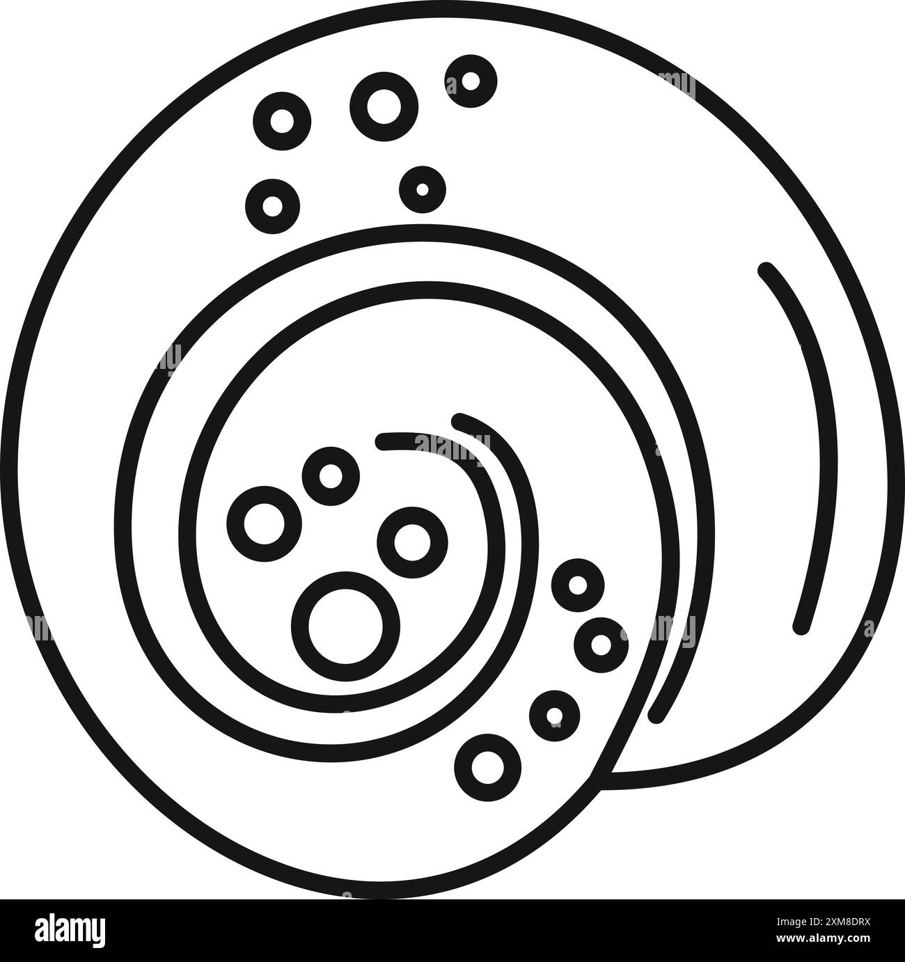 Round snail shell creating a swirl pattern with bubbles on a white ...