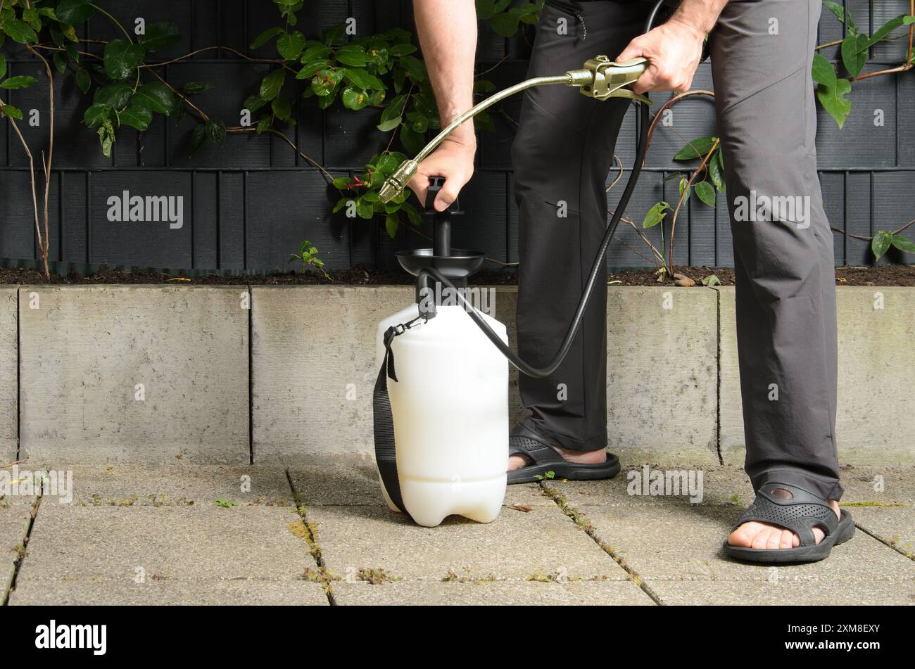 A man pumps a compression sprayer for spraying plants. Hand sprayer ...