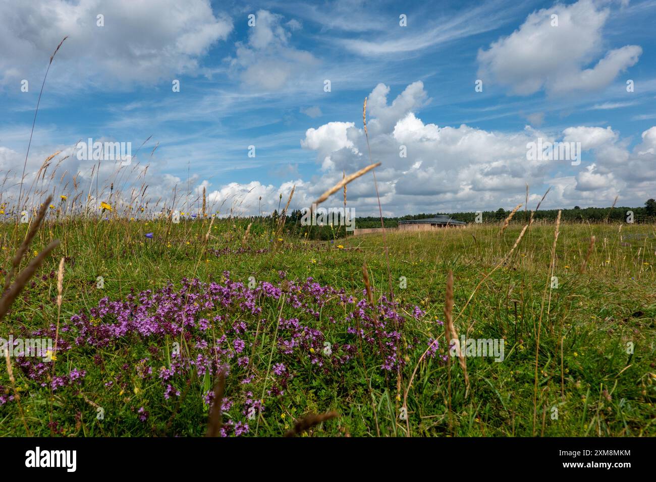 Grimes graves hi-res stock photography and images - Alamy