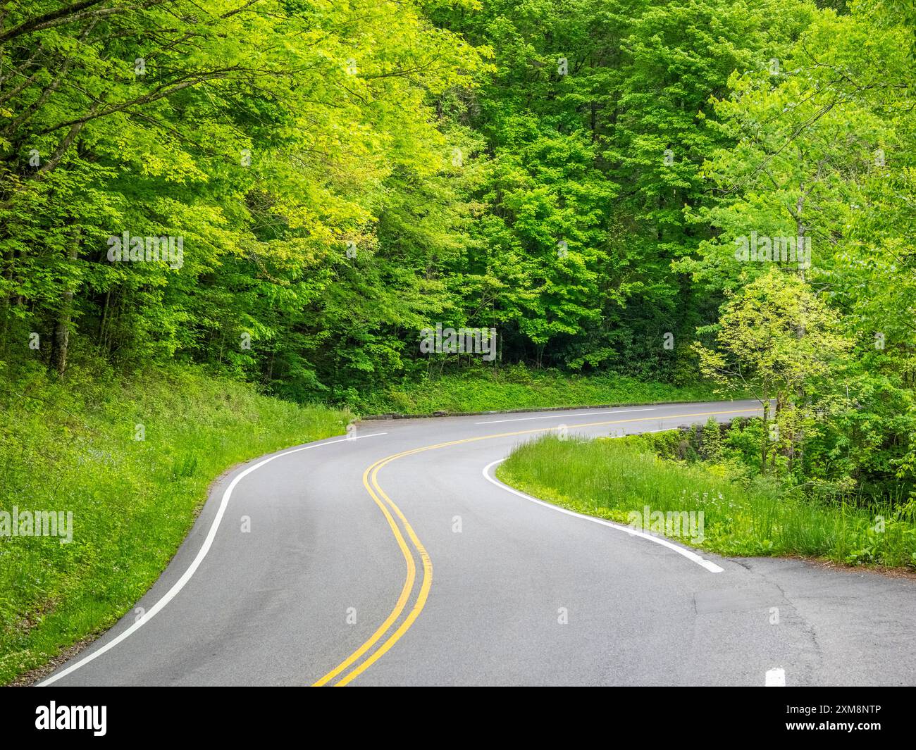 Newfound Gap Road in the Great Smoky Mountains National Park in ...