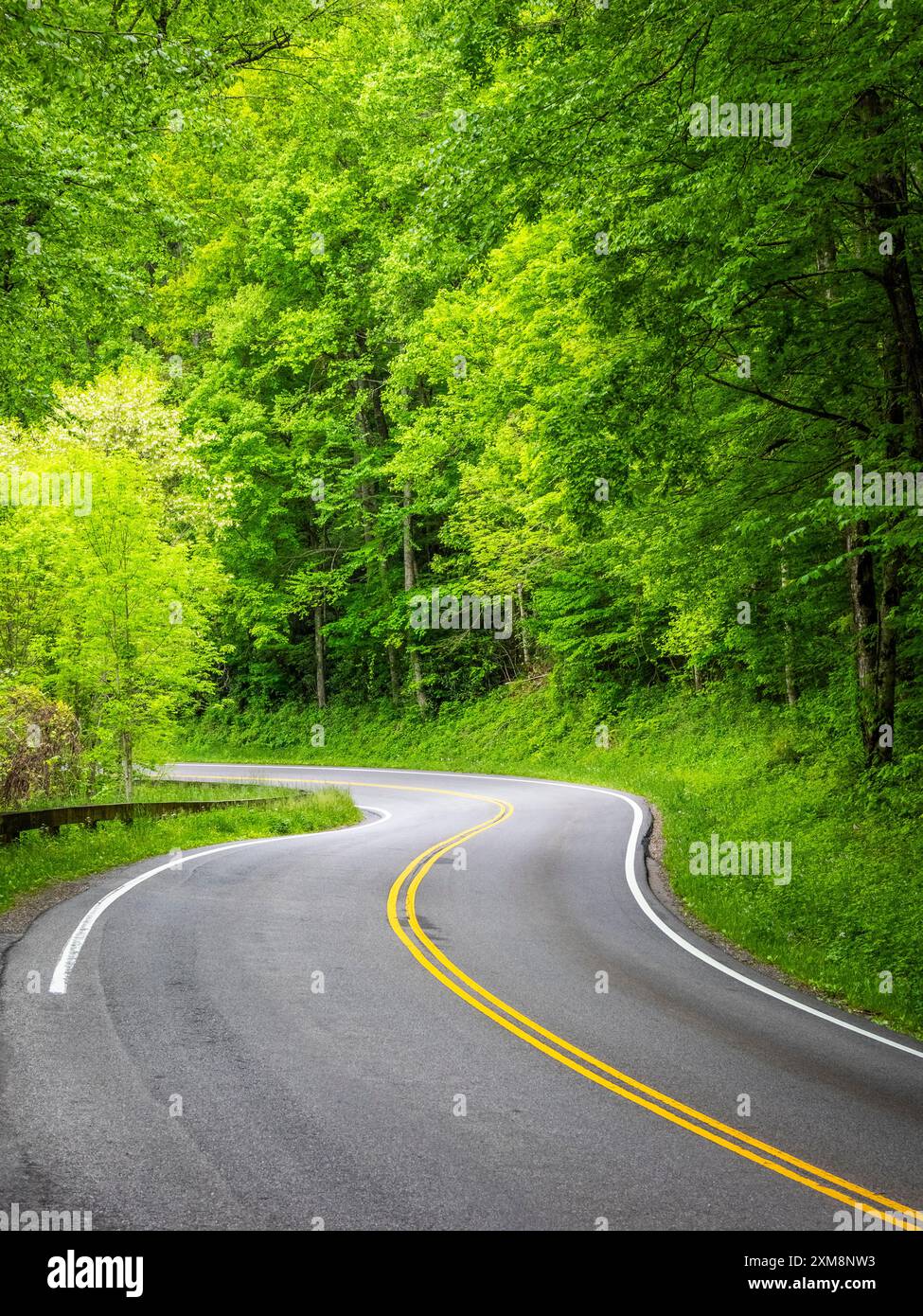 Newfound Gap Road in the Great Smoky Mountains National Park in ...