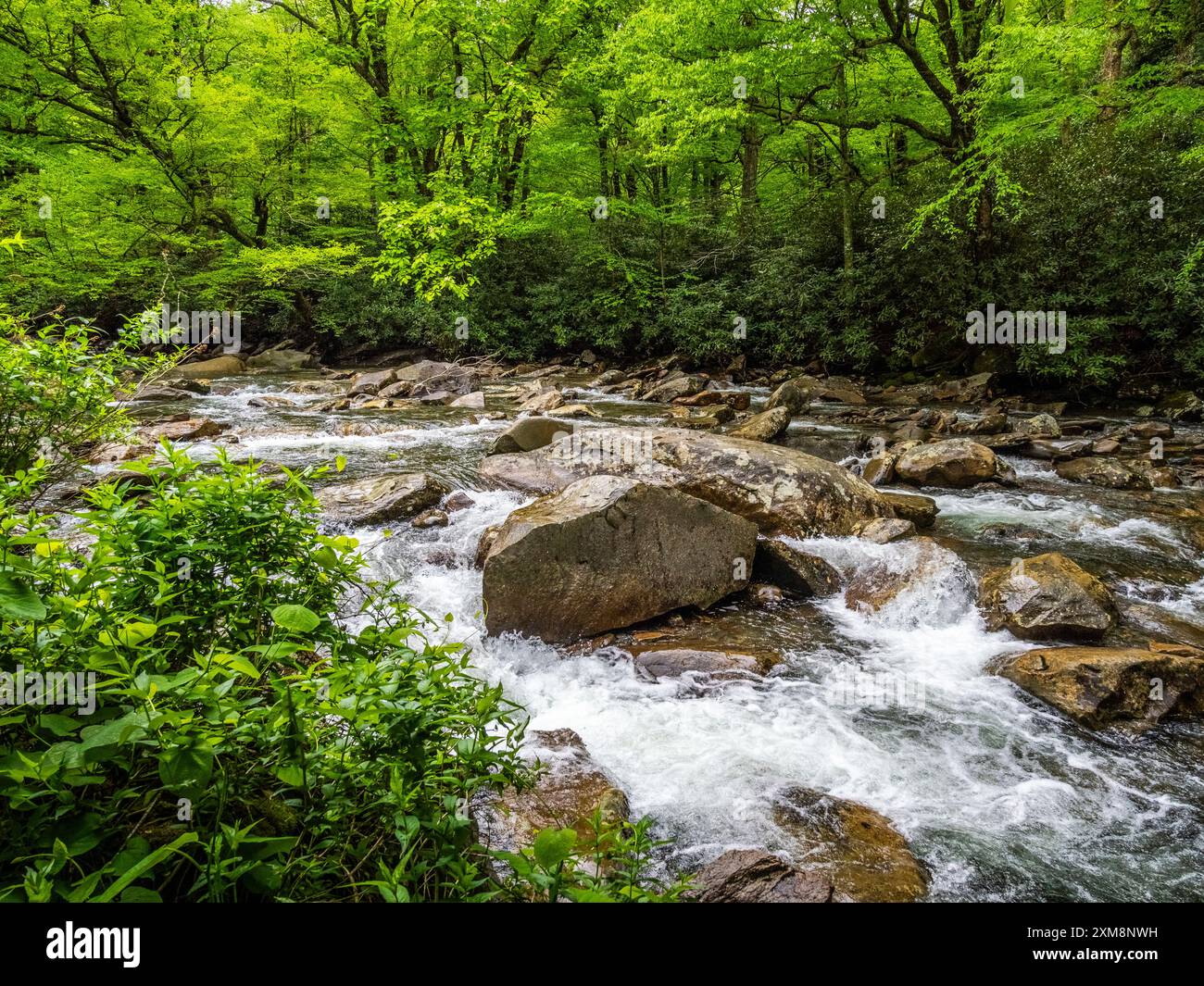 Oconaluftee River along the Newfound Gap Road in the Great Smoky ...