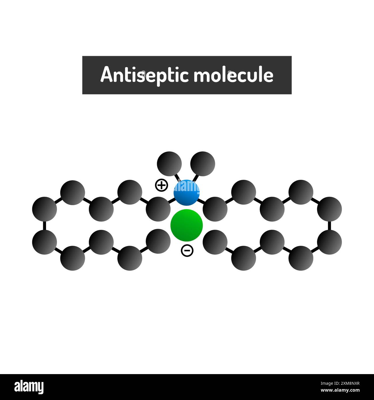 Antiseptic Molecules - Mechanisms, Types, and Applications in Infection ...