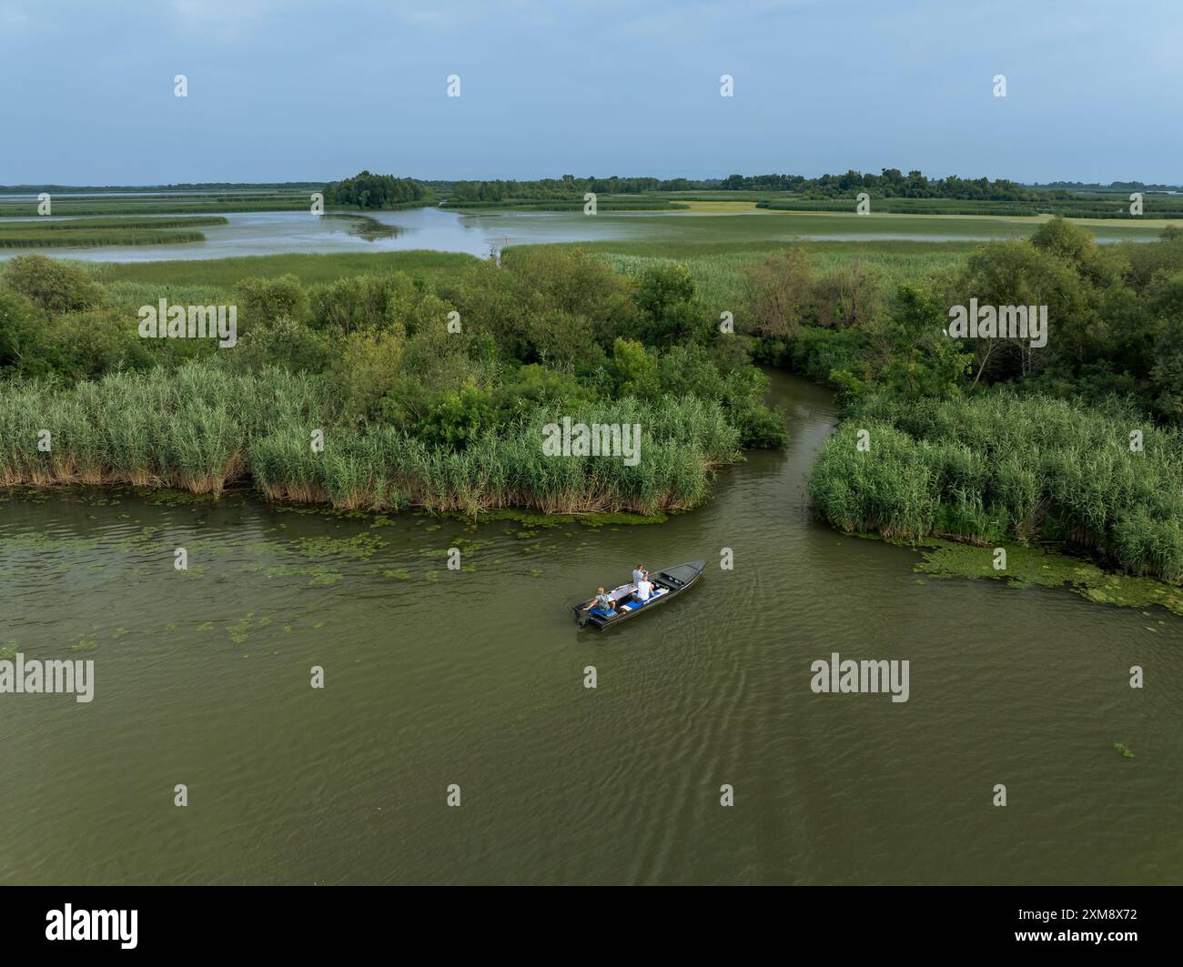 People boating in a lake. They ara going to the reeds in a small cannal ...