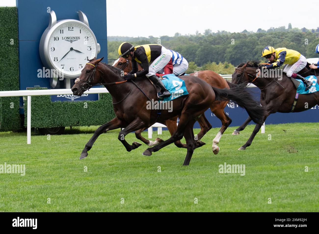 Breeder and sponsor kingsclere stud hi-res stock photography and images ...