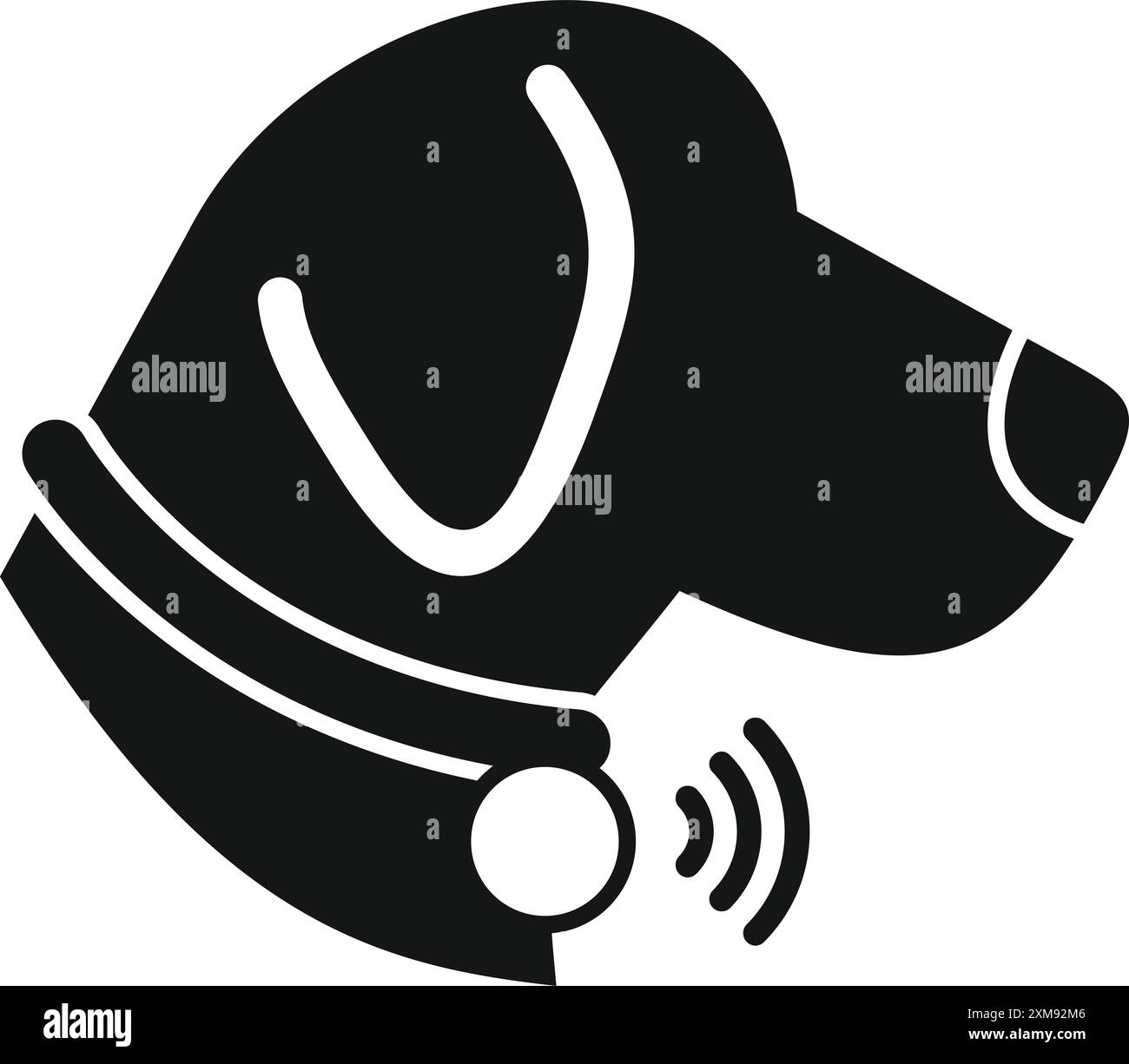 Dog wearing gps tracking collar, ensuring safety and peace of mind for ...