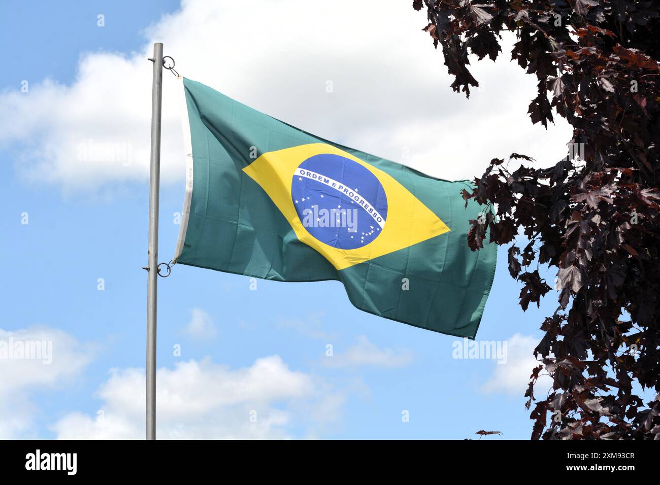 The national flag of Brazil flies up a flagpole on a beautiful summer ...