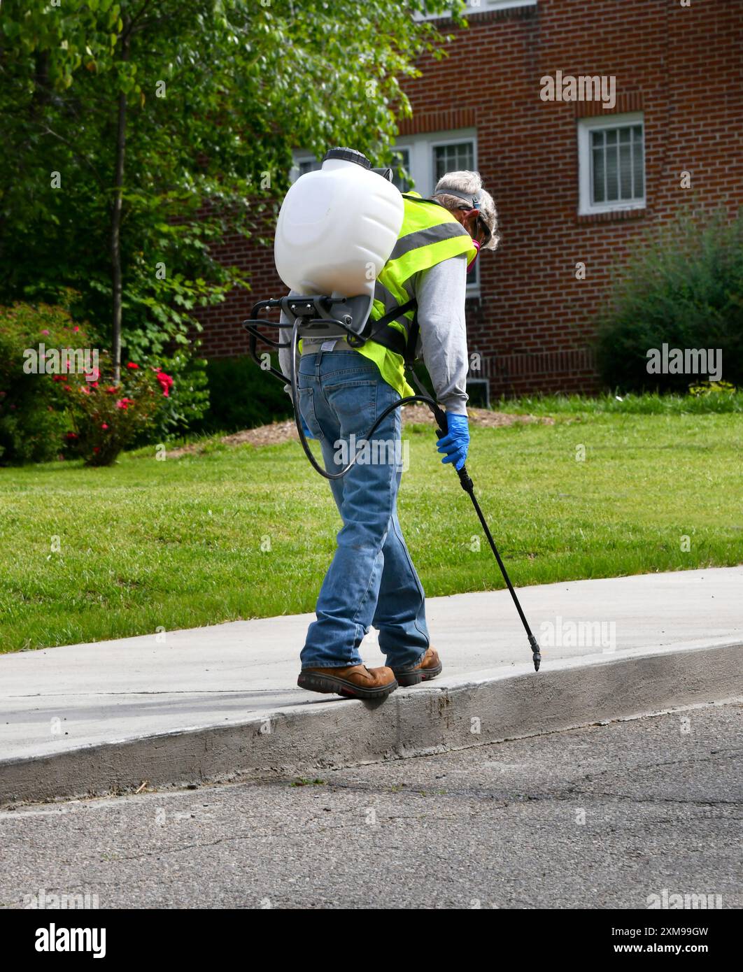 Maintenance worker walks the city street spraying for weeds. He is ...