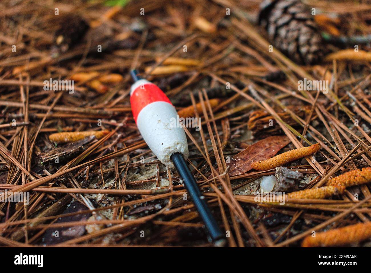 An orange and white fishing float laying on some pinestraw at Jordan ...