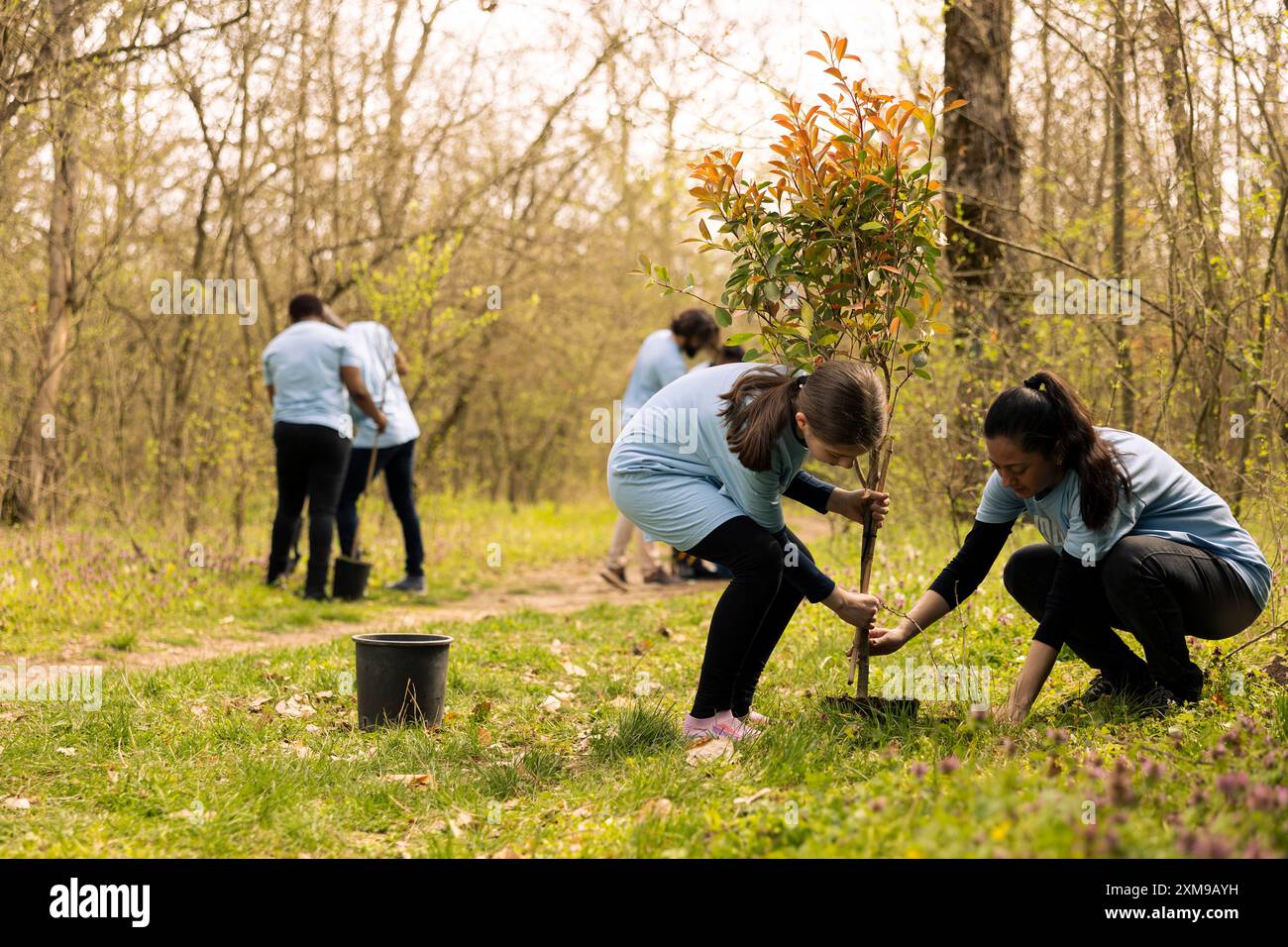 Volunteers plant tree activity hi-res stock photography and images - Alamy