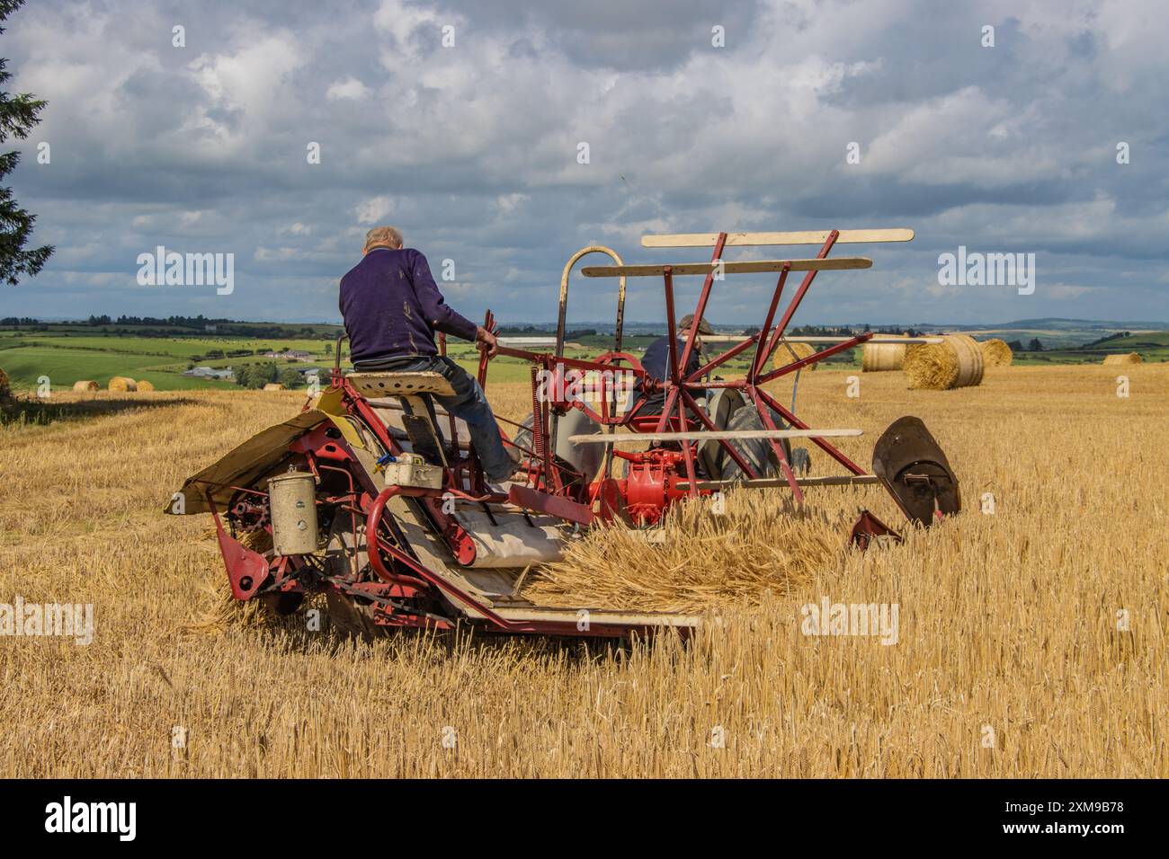 Reaper and Binder harvesting barley, July 2024 Stock Photo - Alamy