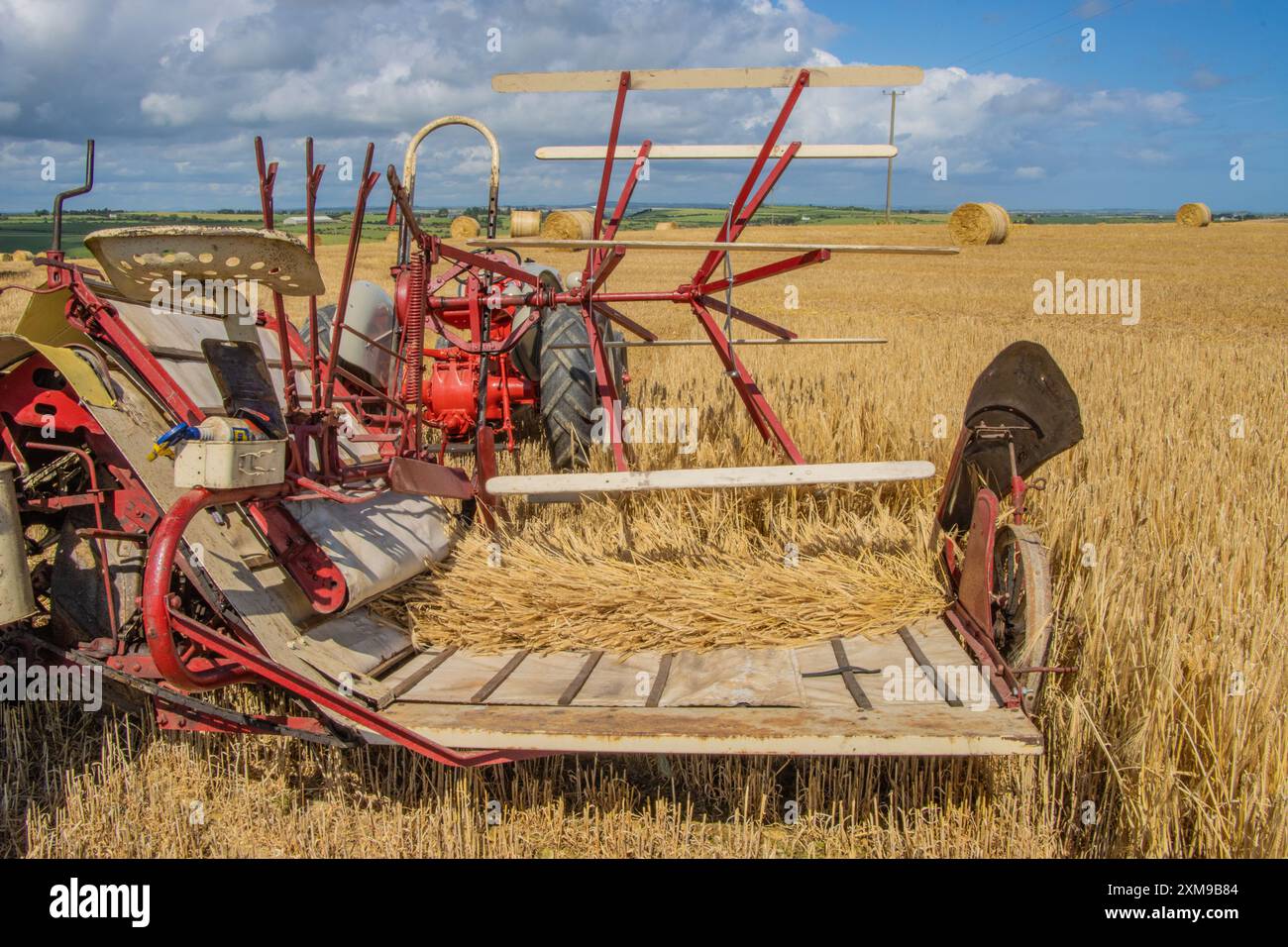 Reaper and Binder harvesting barley, July 2024 Stock Photo - Alamy