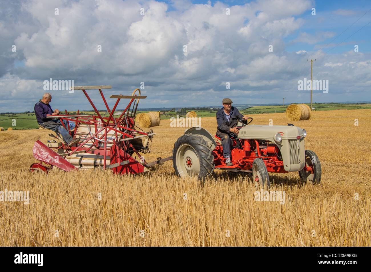 Reaper and Binder harvesting barley, July 2024 Stock Photo - Alamy