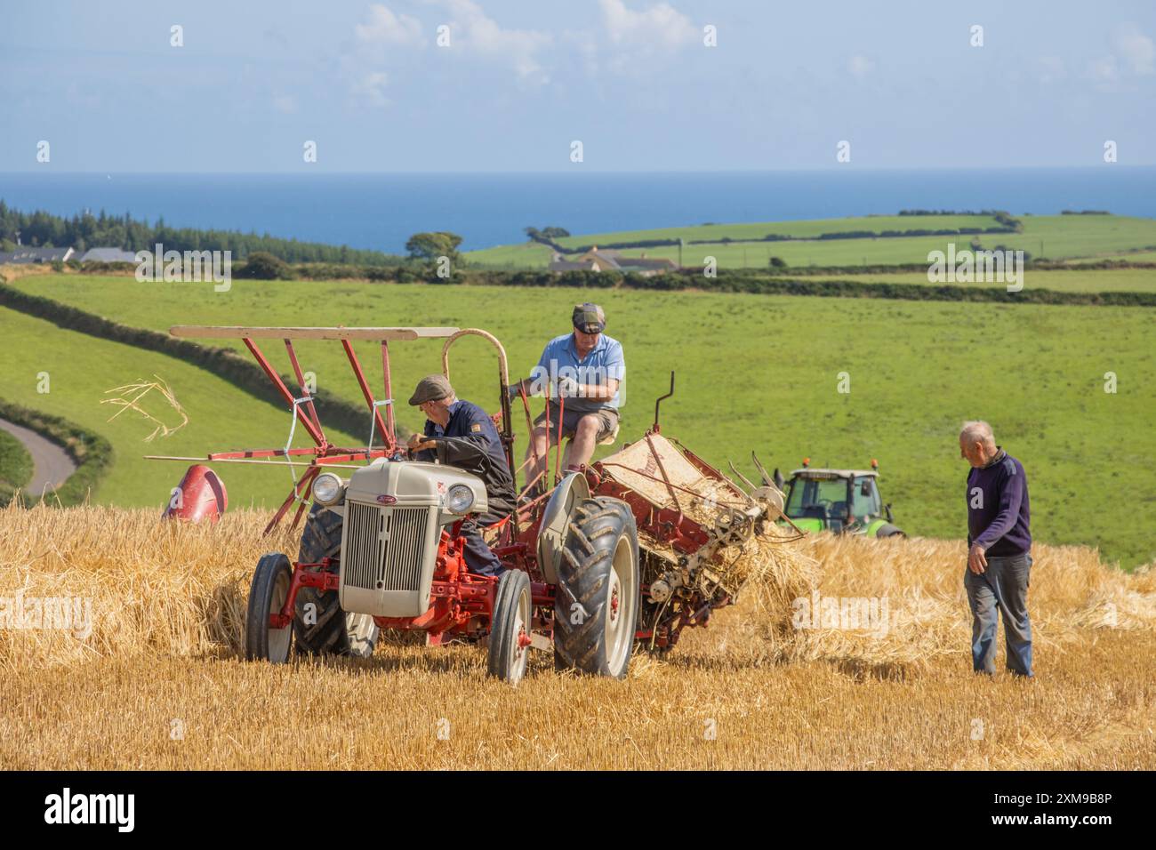 Reaper and Binder harvesting barley, July 2024 Stock Photo - Alamy