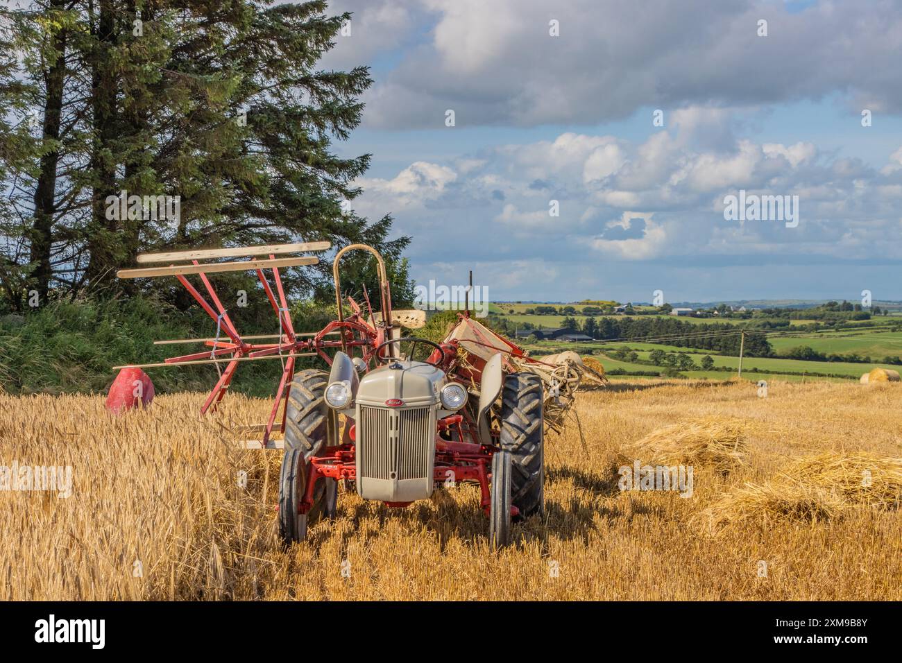 Reaper and Binder harvesting barley, July 2024 Stock Photo - Alamy