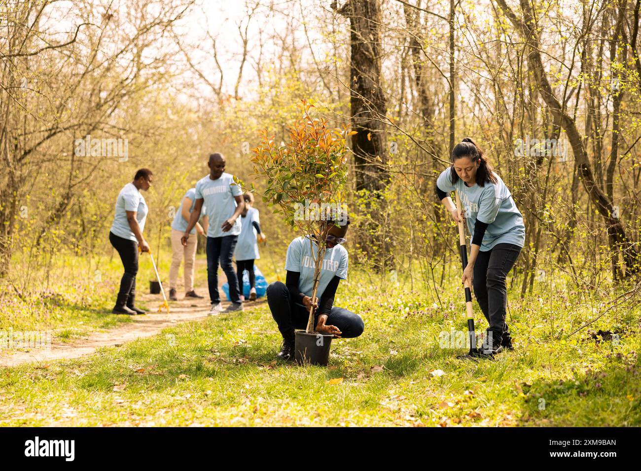 Diverse activists joining forces in digging holes to plant trees with ...