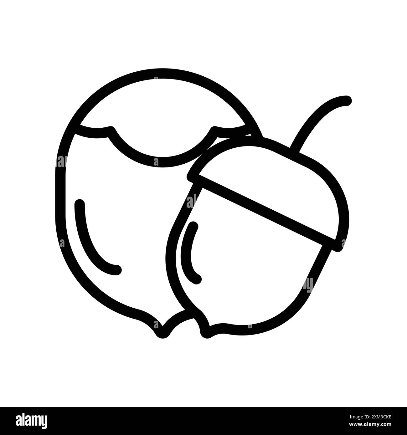 Hazelnut icon linear logo mark set collection in black and white for ...