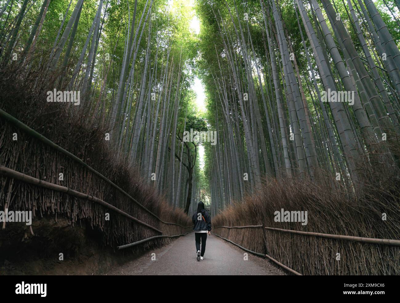 Explore serene beauty japanese hi-res stock photography and images - Alamy