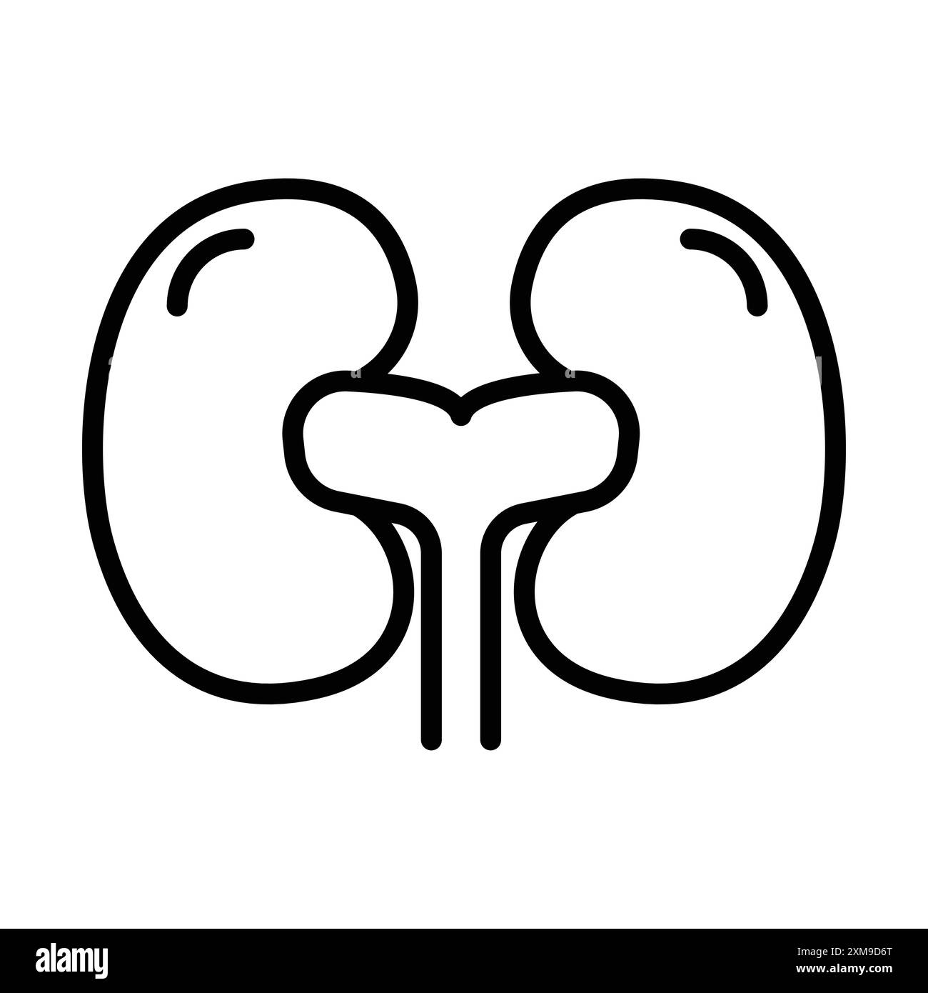 Human kidneys icon linear logo mark set collection in black and white ...