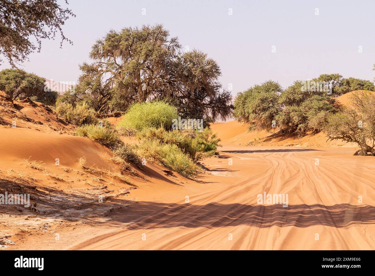 Impression of the massive sanddunes that comprise the Sossusvlei of ...