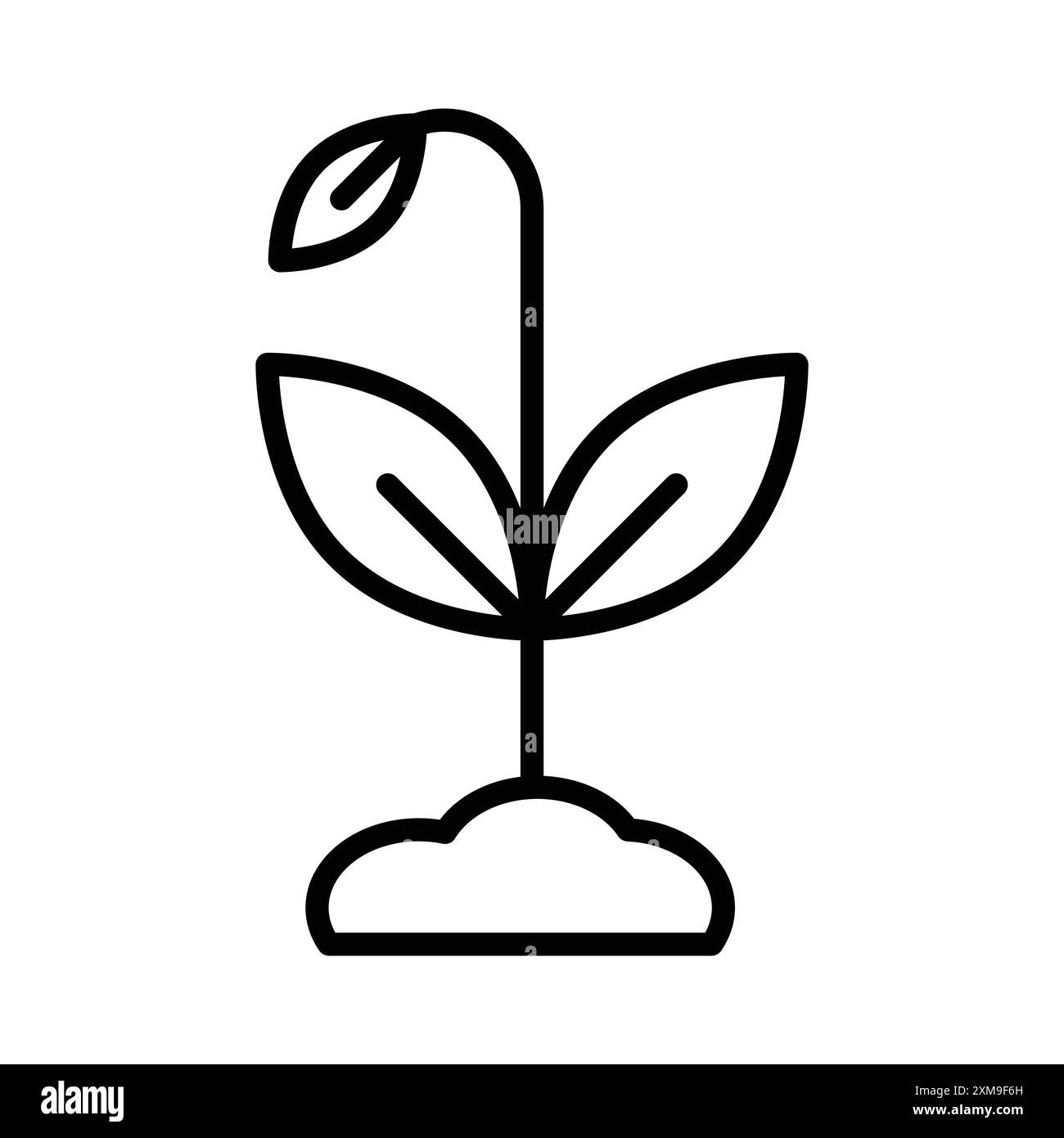 Young sprout icon linear logo mark set collection in black and white ...