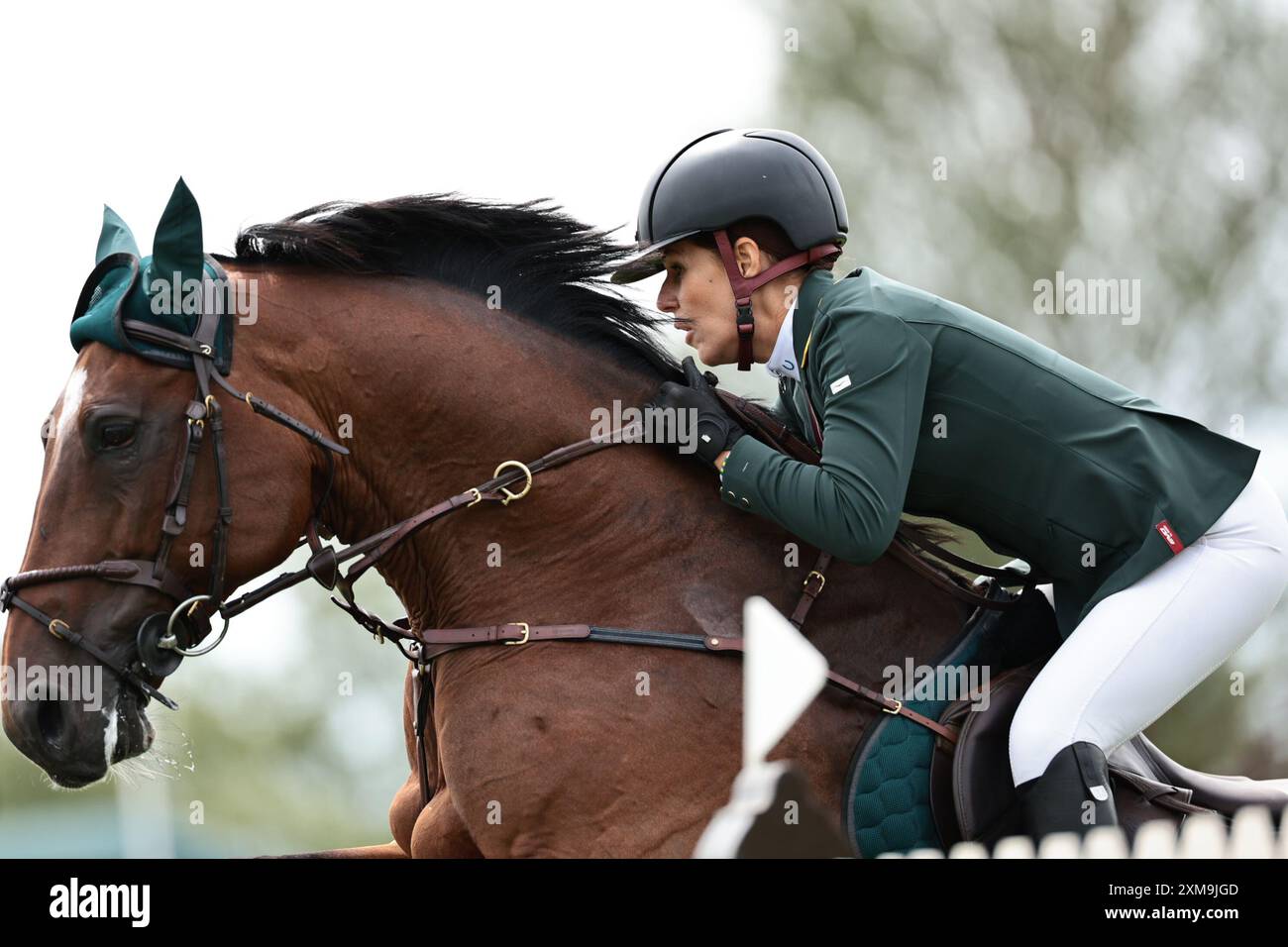 Luciana LOSSIO of Brazil with LADY LOUISE JMEN during the CSI5* Agria ...