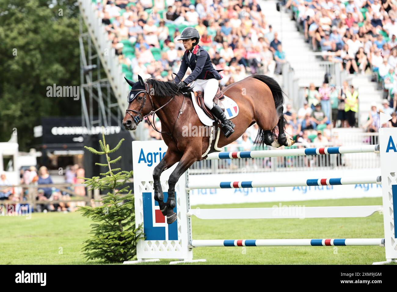 Marie pellegrin hi-res stock photography and images - Alamy