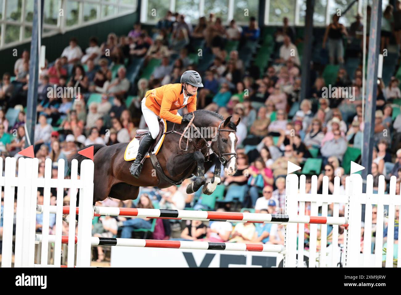 Bas MOERINGS of the Netherland with IPSTHAR during the CSI5* Agria ...
