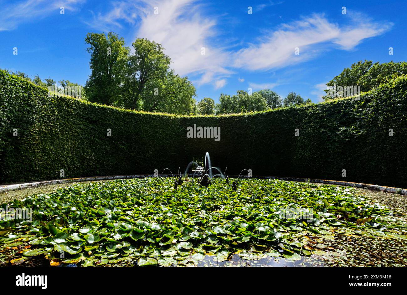 The 17th-century Beech Circle, enclosing a round water-lily pond with ...