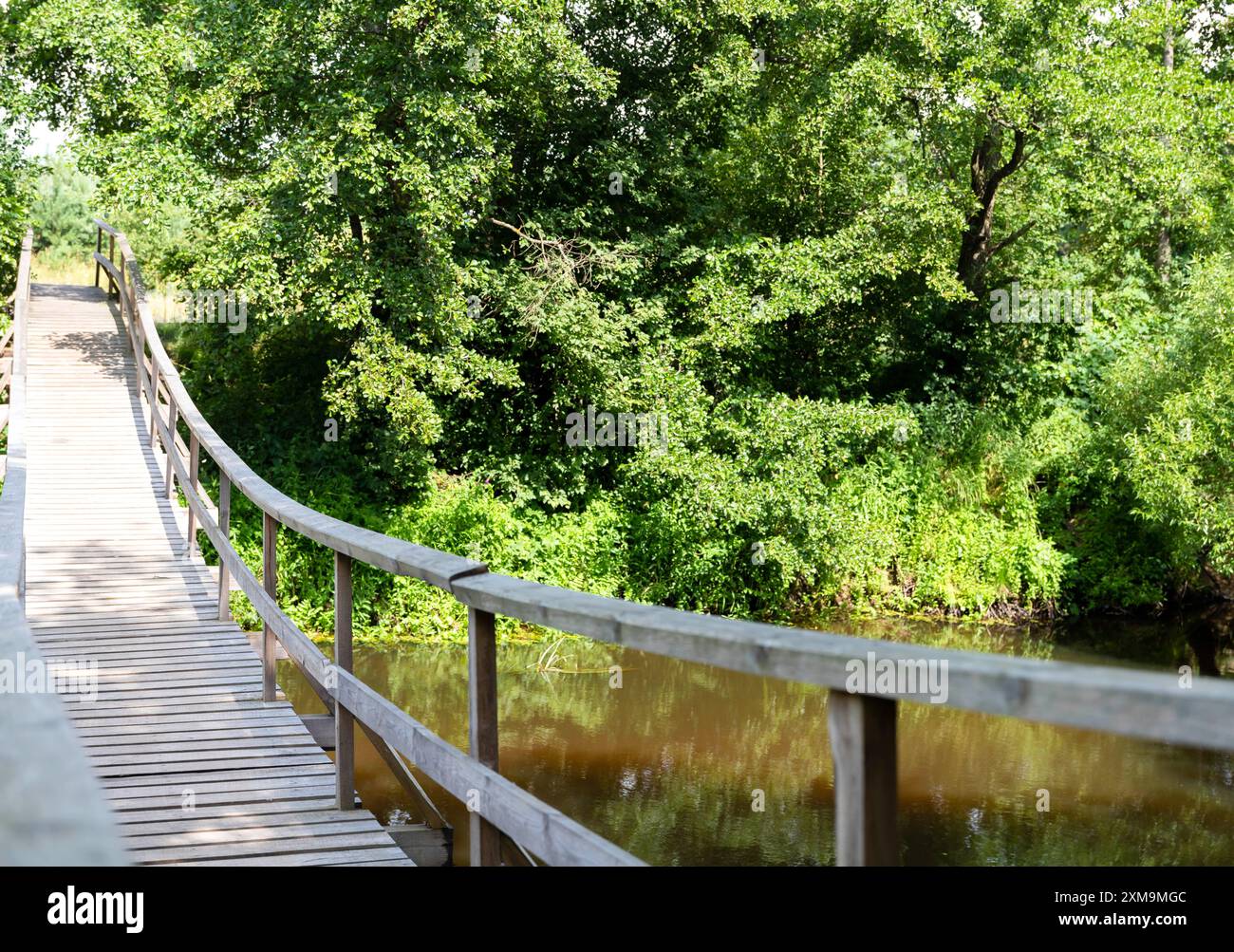 Bamboo pedestrian suspension bridge over river in tropical forest ...