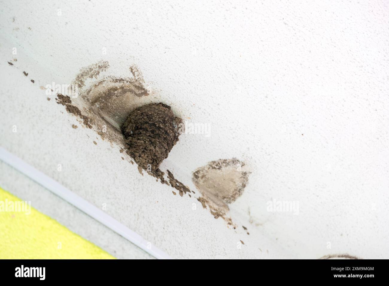Smoke swallows hi-res stock photography and images - Alamy