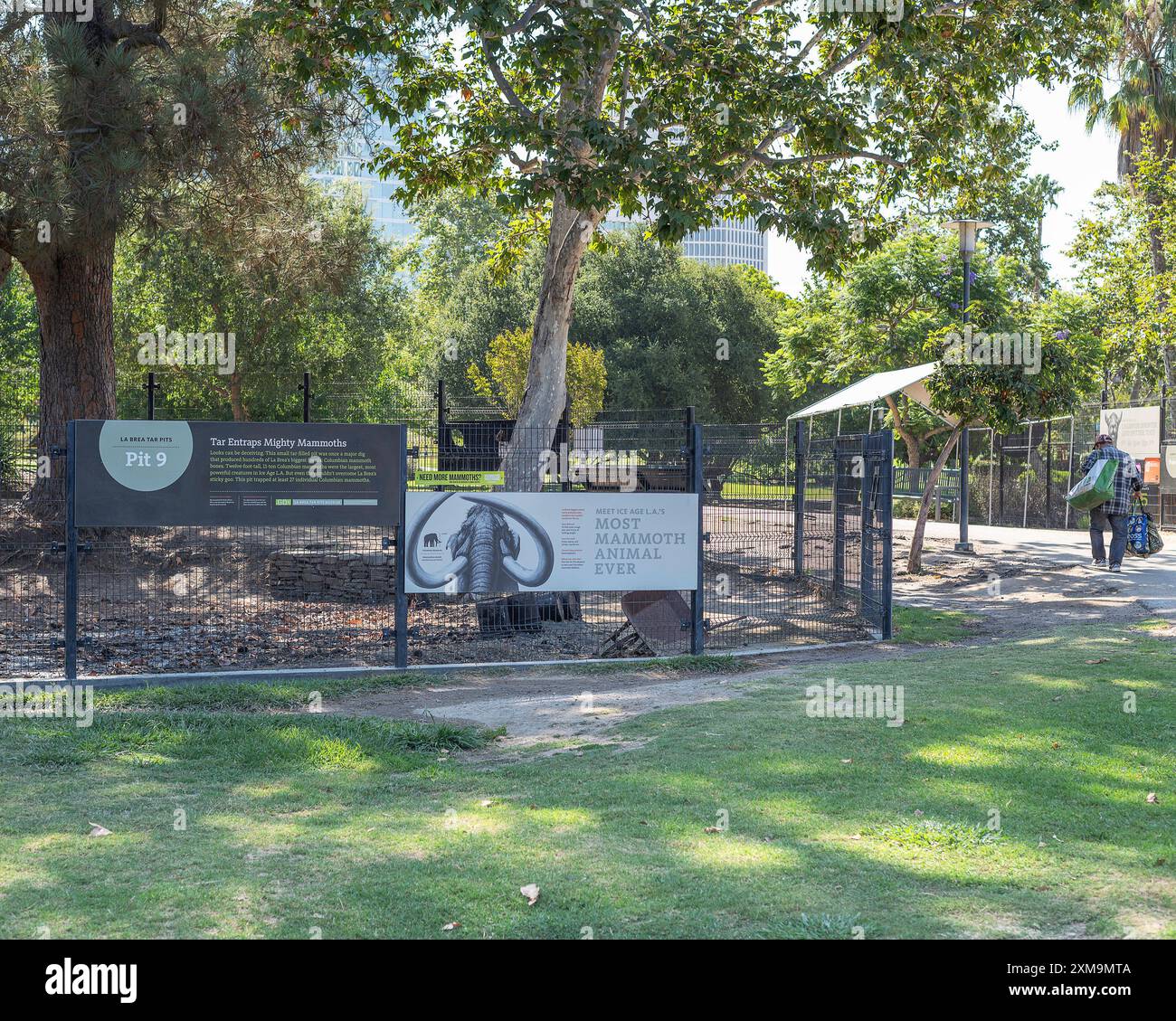 La brea tar pits hi-res stock photography and images - Alamy