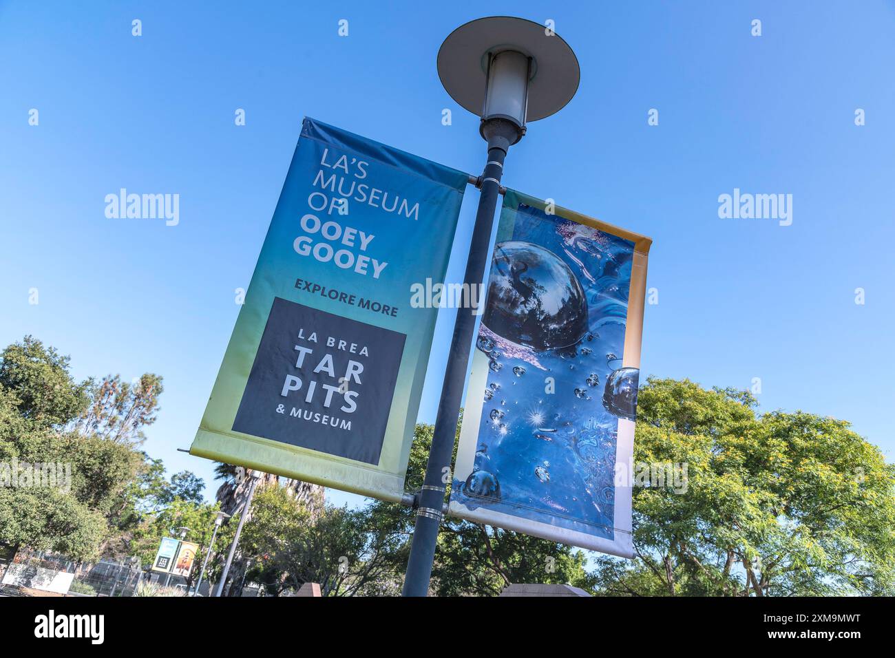 Los Angeles, CA, USA: July 26 2024: Close-up of a sign on a lamp post ...