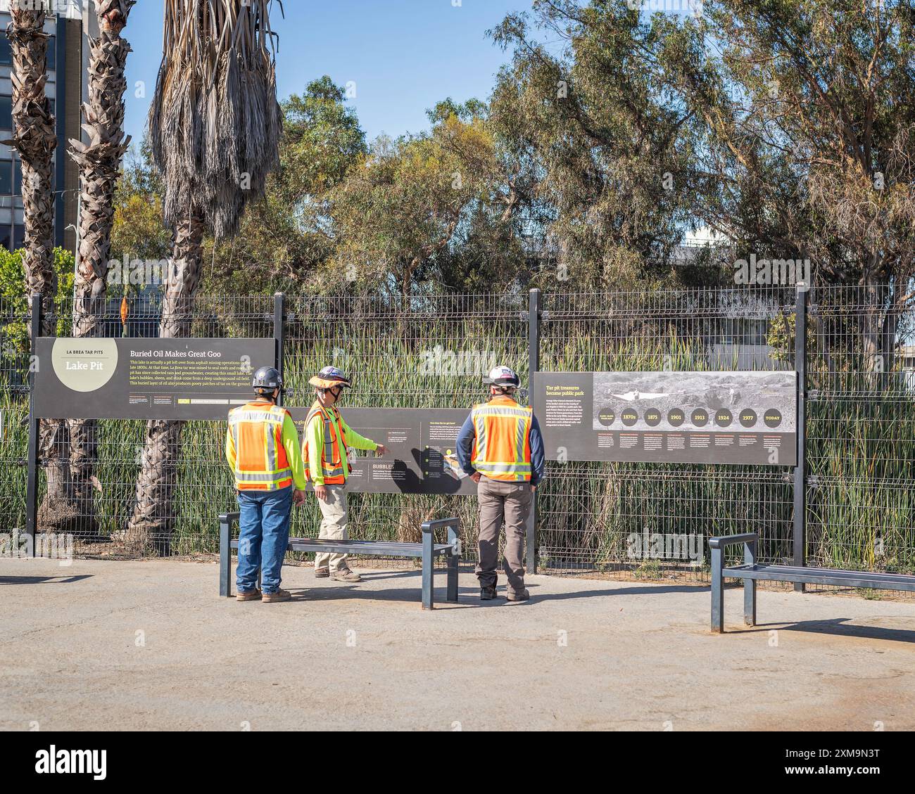 Los Angeles, CA, USA: July 26, 2024: The Lake Pit at the La Brea Tar ...