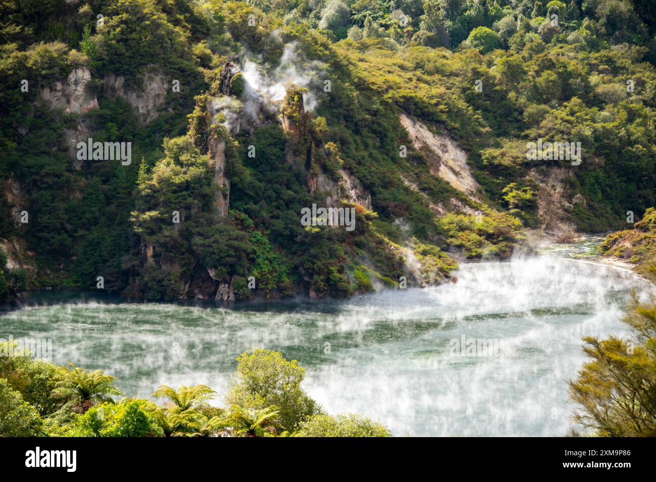 Frying Pan Lake in Waimangu Volcanic Valley - New Zealand Stock Photo ...