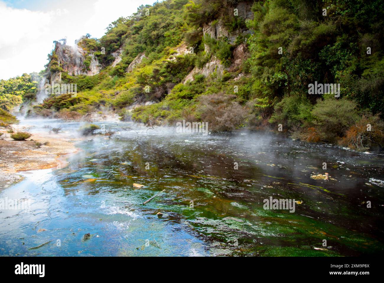 Frying Pan Lake in Waimangu Volcanic Valley - New Zealand Stock Photo ...