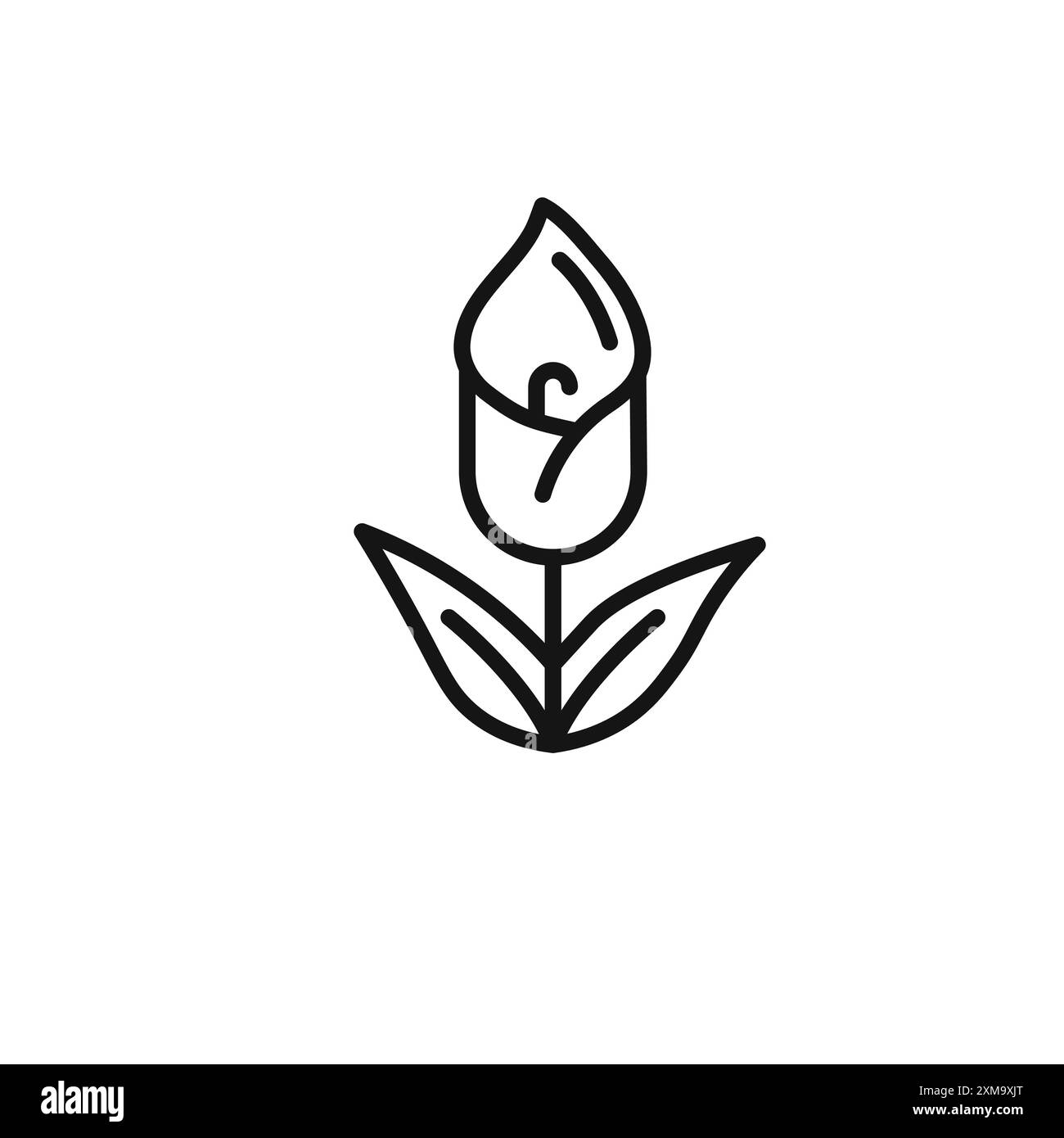 Calla lilly logo Black and White Stock Photos & Images - Alamy