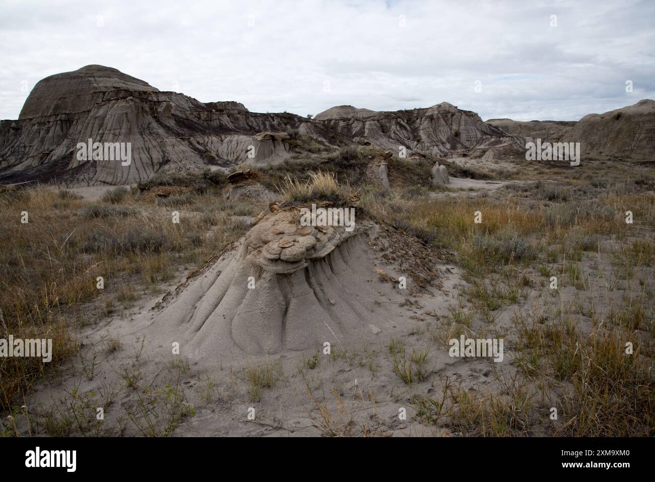 Dinosaur Provincial Park in Alberta in Canada protects lots of Dinosaur ...