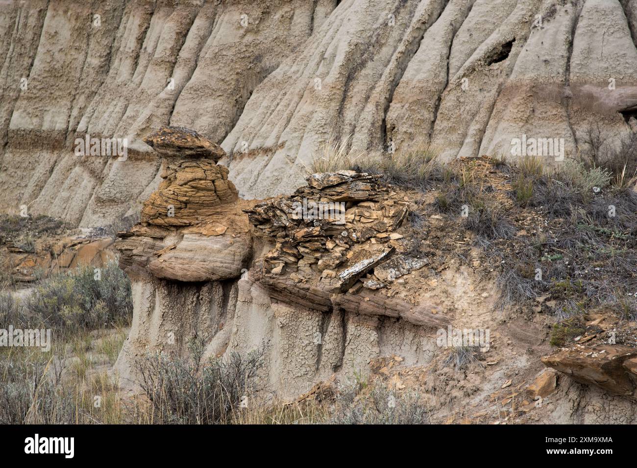 Dinosaur Provincial Park in Alberta in Canada protects lots of Dinosaur ...