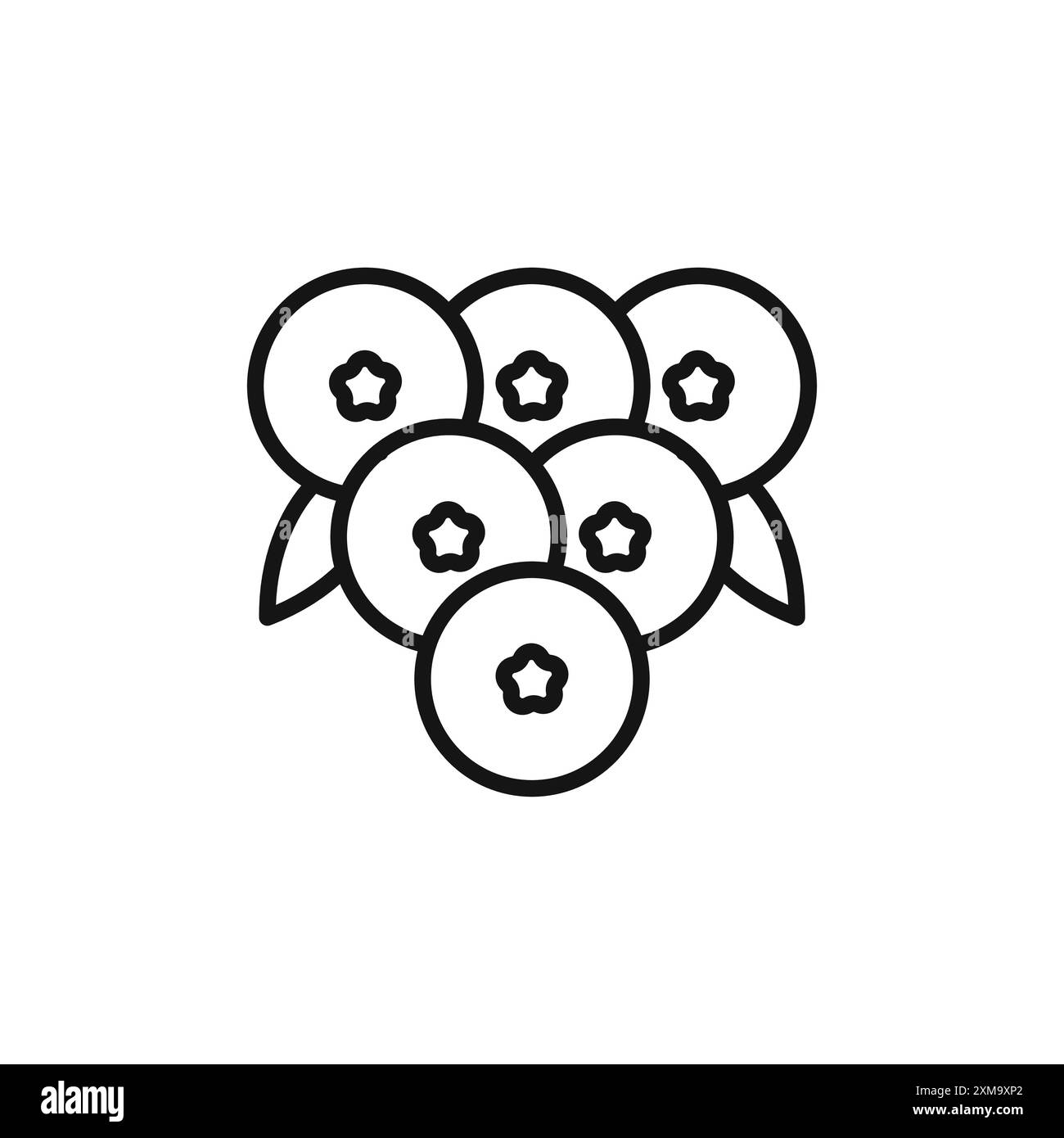 Cranberry icon outline collection or set in black and white outline ...
