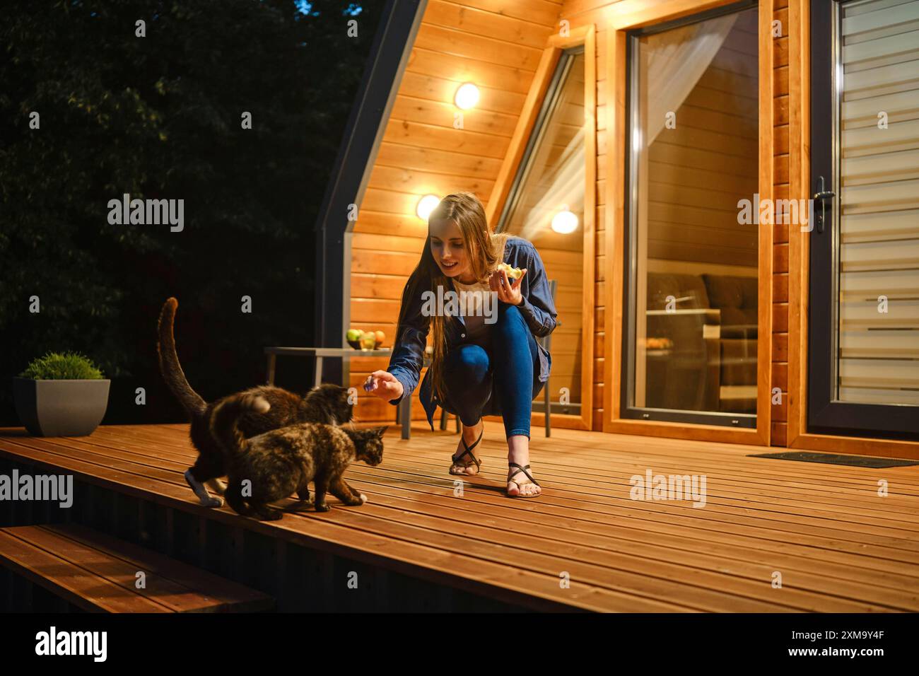 Eager cats hi-res stock photography and images - Alamy