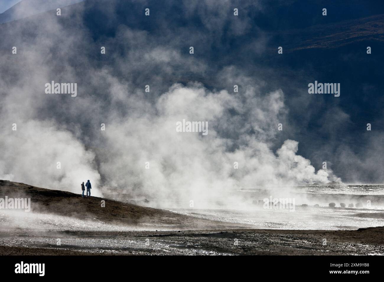 Steaming geysers at El Tatio geyser field in the Atacama Desert, Chile ...