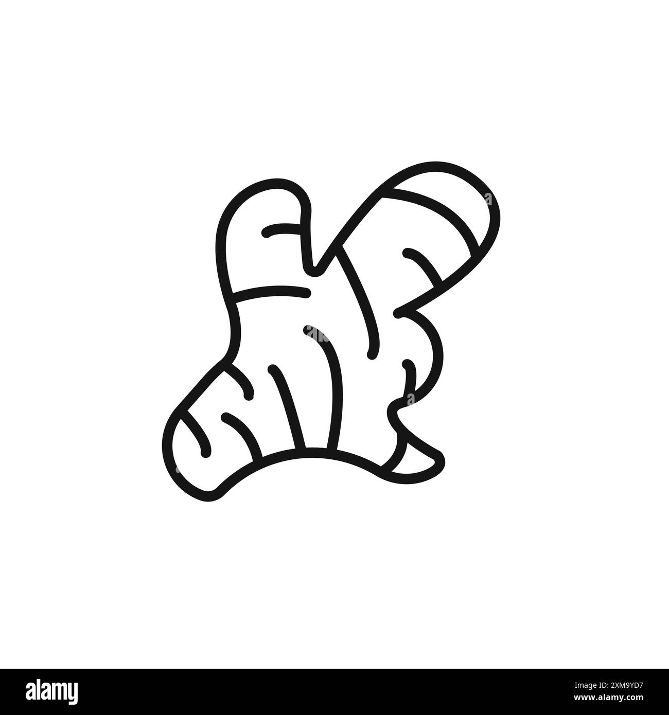 ginger icon outline collection or set in black and white outline Stock Vector Image & Art - Alamy