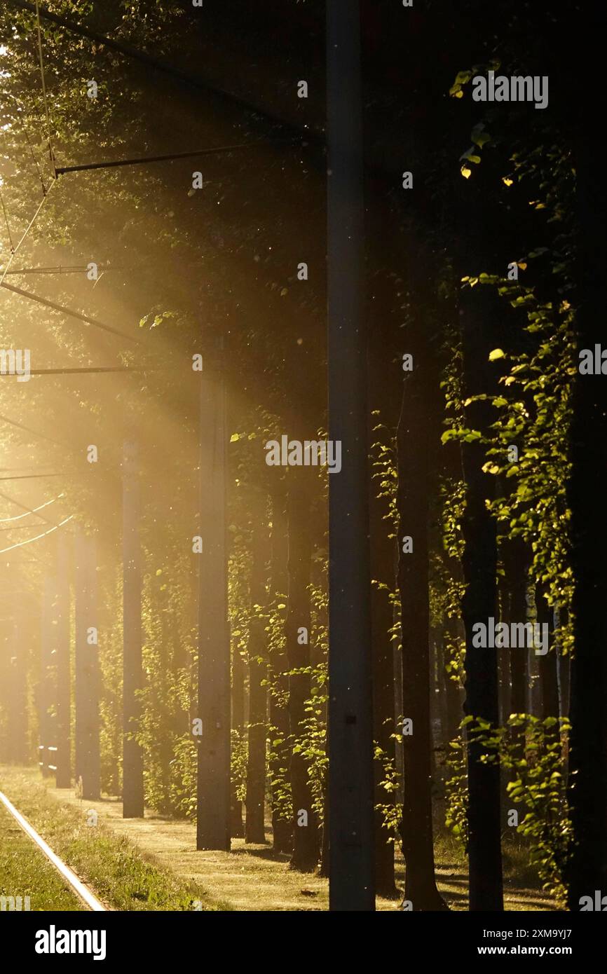 Summer heat in the city, July, Germany Stock Photo - Alamy