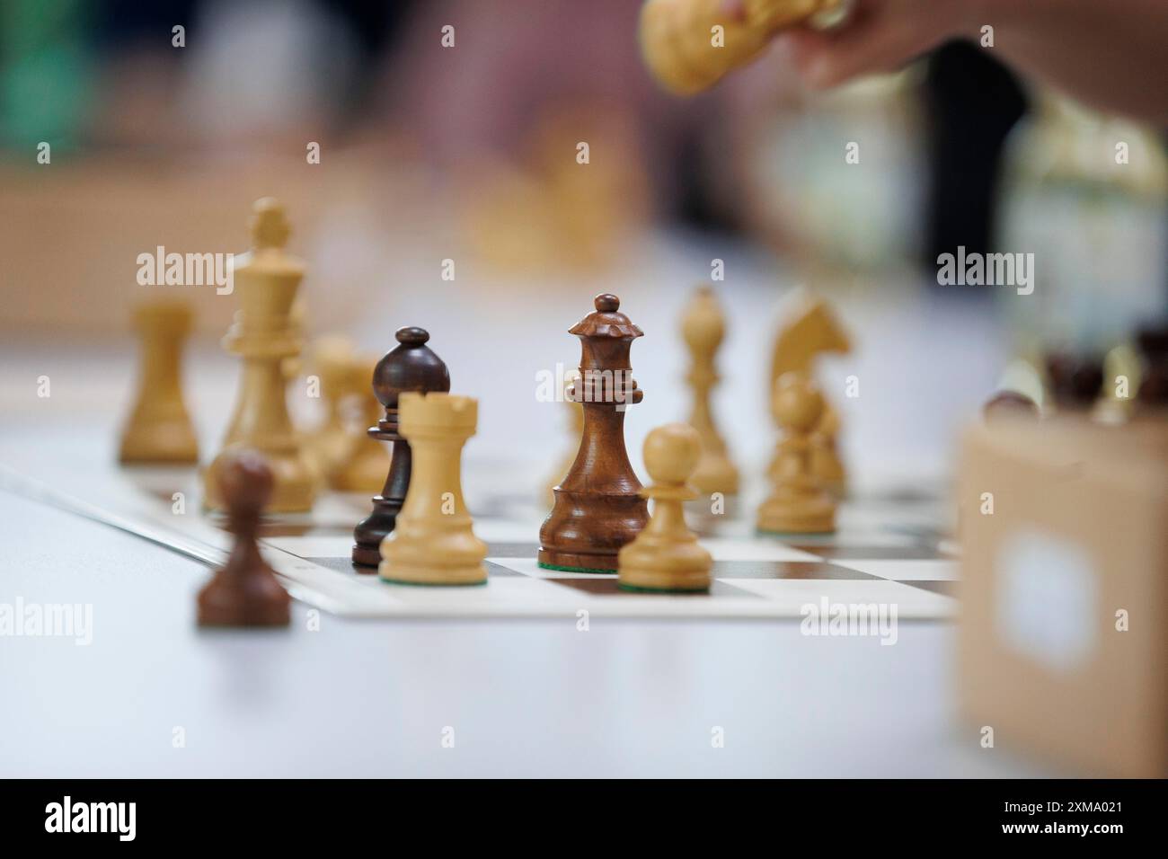 Chess pieces in focus with blurred background on a game board Stock ...