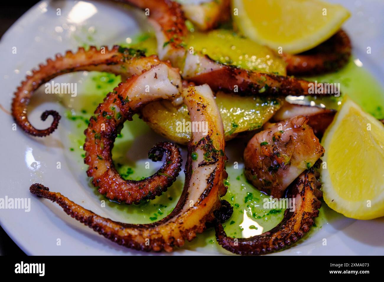 Octopus, tapas in a bar, food, Barcelona, Catalonia, Spain Stock Photo ...