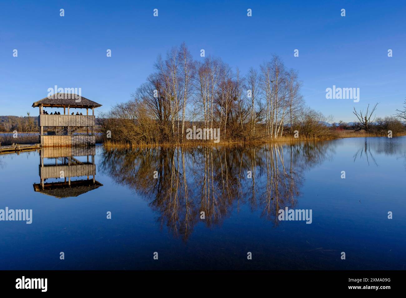 Birdwatching tower observation high hi-res stock photography and images ...