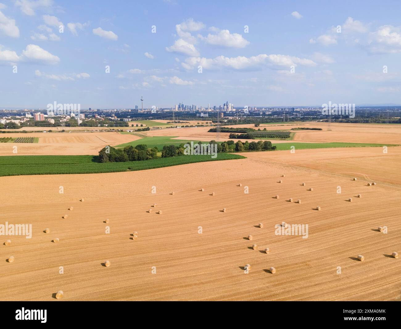 The grain fields in the north-west of Frankfurt am Main have been ...