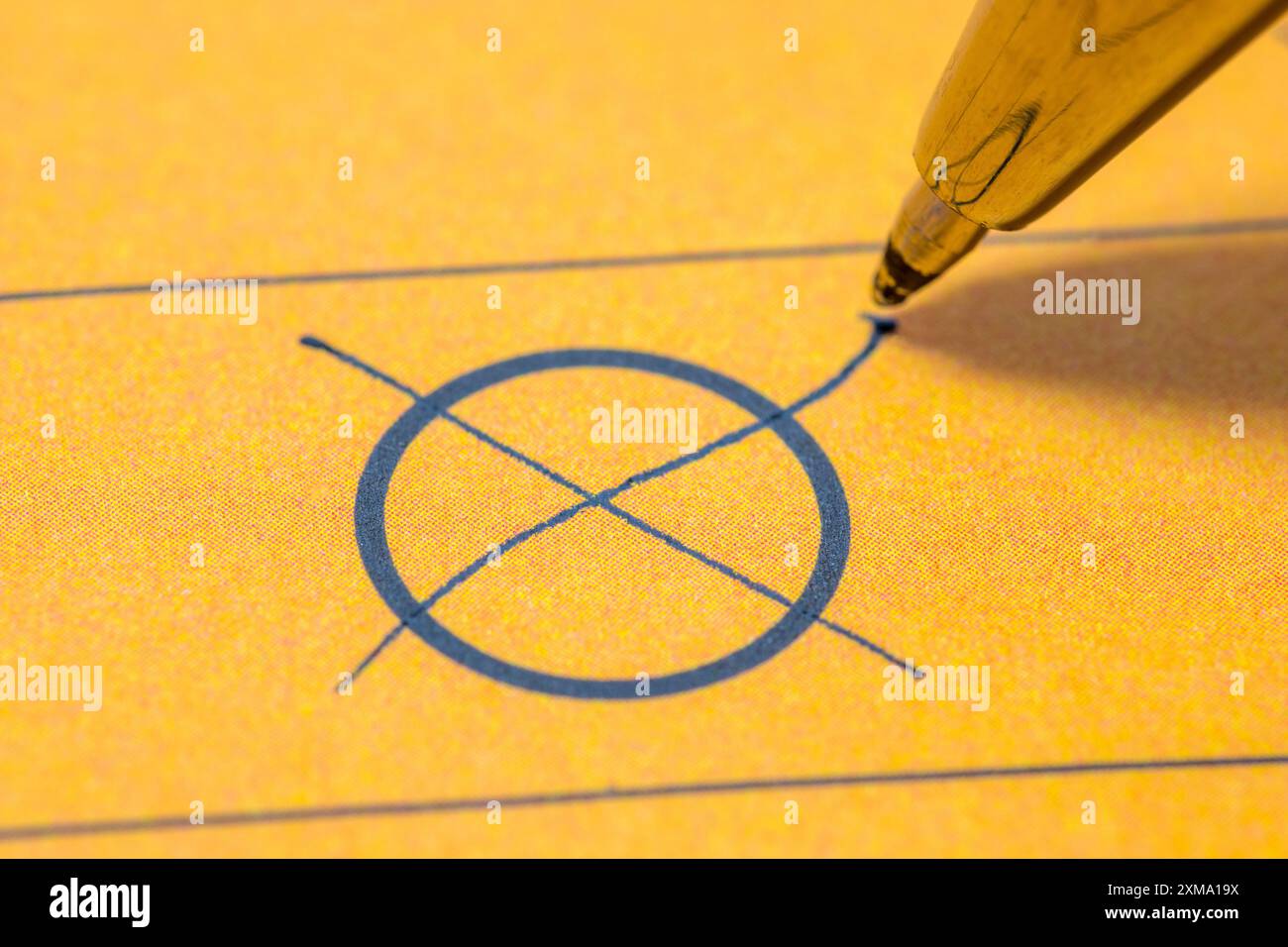Ballot paper, ballot paper, ballot cross, circle, cross, ticked, biros ...